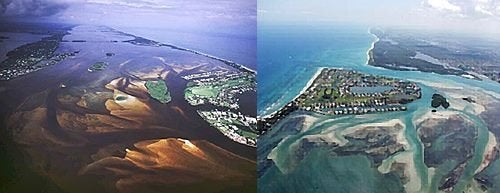 Devastating Photos Of Florida Pollution Will Fill You With Rage | HuffPost