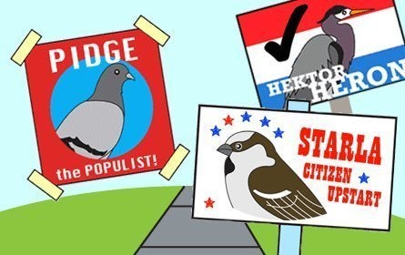 NYC Ballot Challenge (GAME) | HuffPost New York