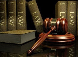 Sacha Litman Wedding Previous Years Final Draft®