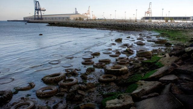 San Francisco Bay Pollution: Environmental Group Reveals The Bay's ...