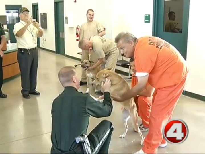 Florida Inmates Adopt Abandoned Dogs In New Prison Program | HuffPost ...