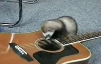 See and Be Scene | HuffPost DC