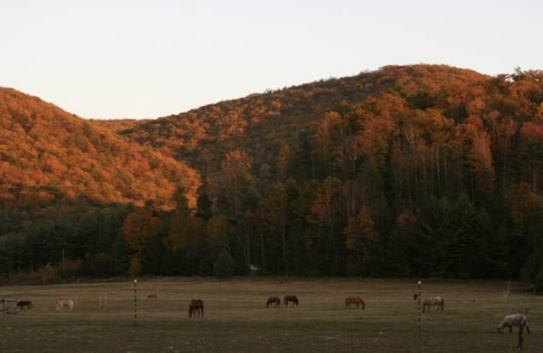 Zendik Farm For Sale: West Virginia Commune, Maybe Cult, On The Market ...