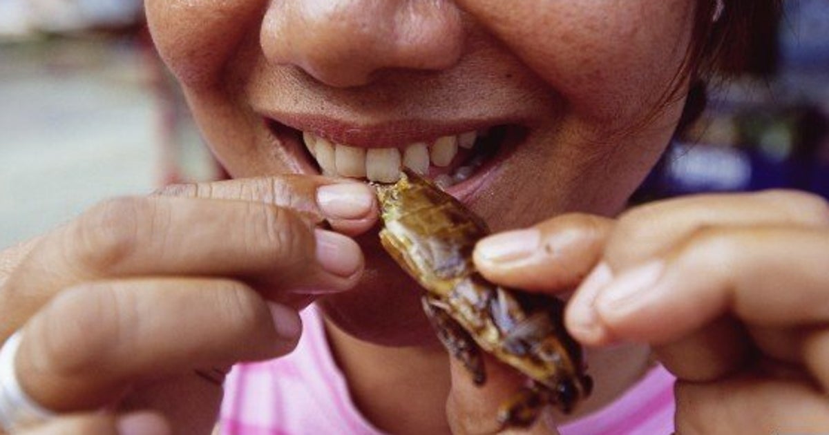 Cicada Recipes: 10 Ways To Use Cicadas In Your Next Soup, Sandwich Or ...