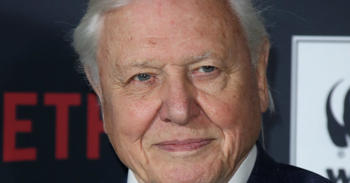 'Our Planet': Netflix Poaches Sir David Attenborough For New Nature ...