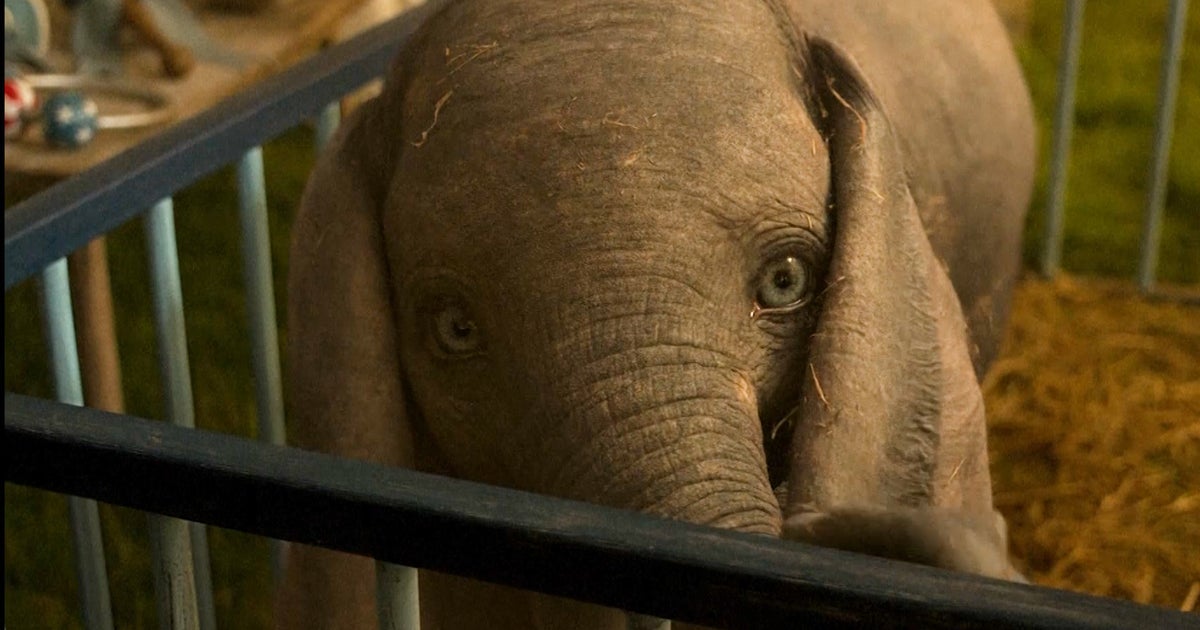 New Tim Burton ‘Dumbo’ Trailer May Give You The Feels | HuffPost UK ...