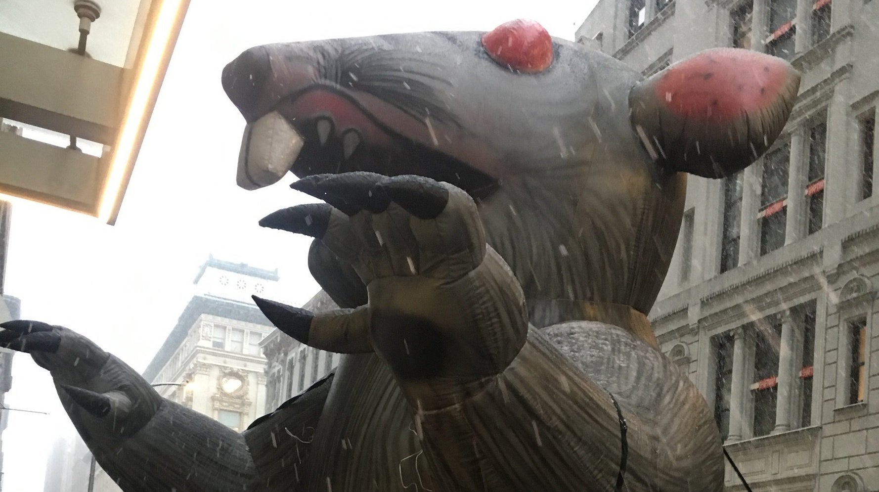 Law360 Union Gets Boost From 'Scabby The Rat' In 2-Year Contract Fight ...