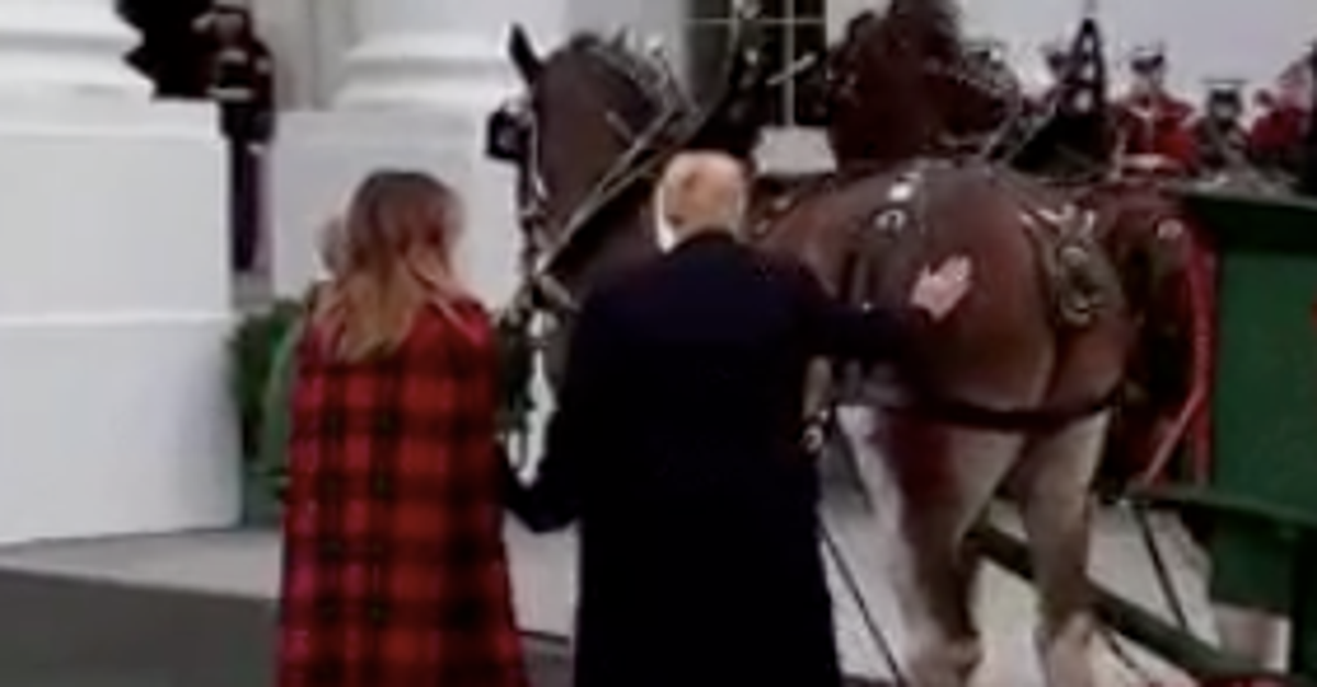 Twitter Users React To Trump Touching Horse’s Butt As White House ...