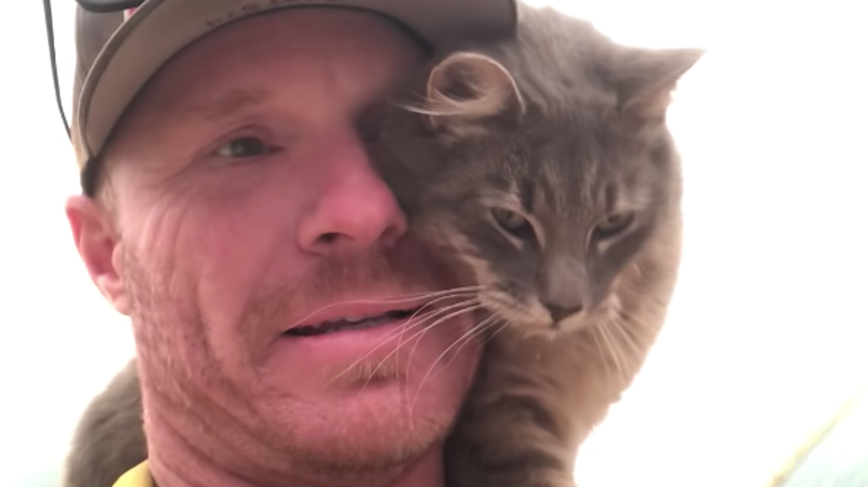 Cat Finds Friend In Firefighter Who Saved Her From California Wildfires ...