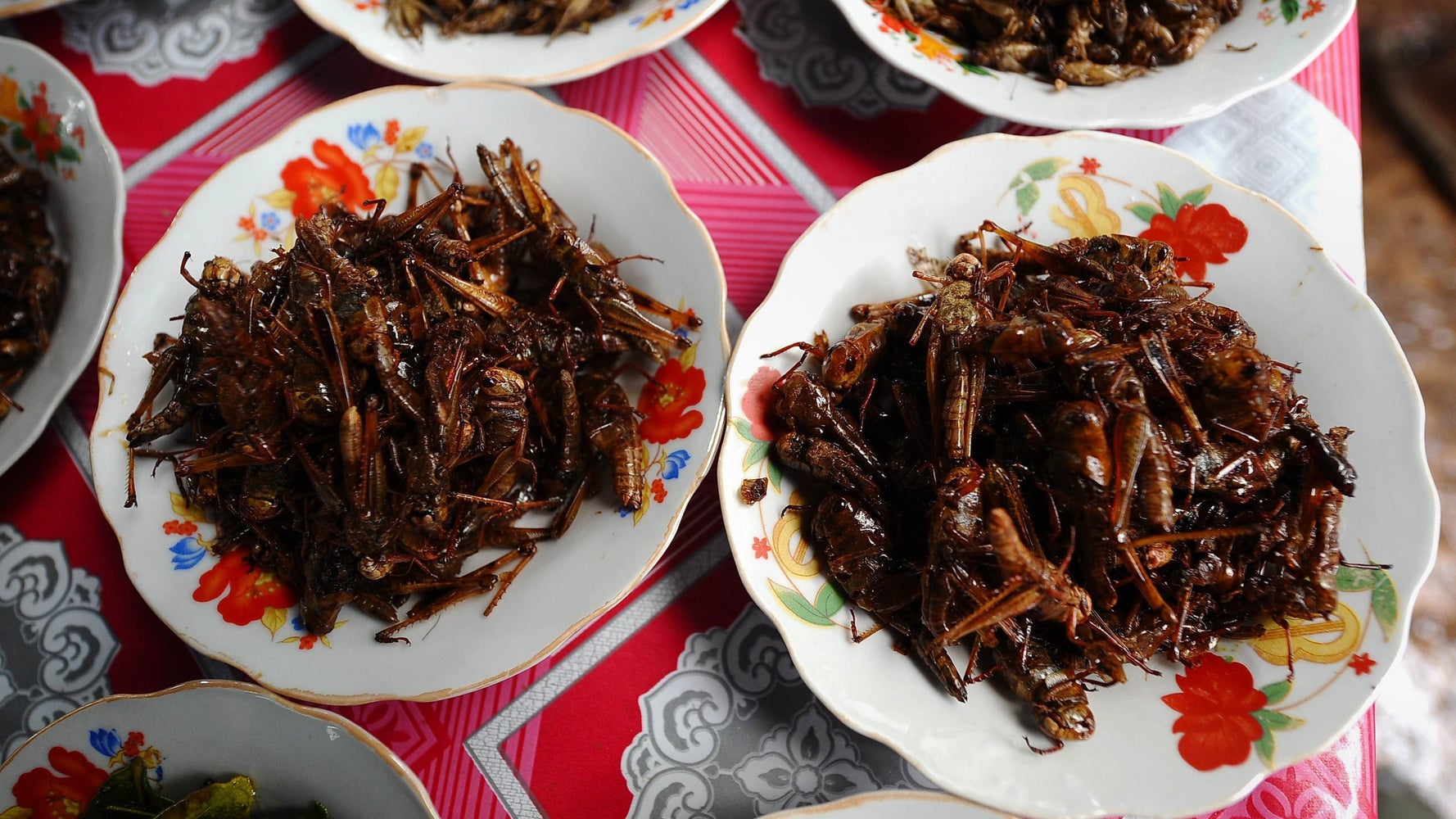 Bugs Are The Protein Of The Future, But We’re Too Grossed Out To Eat ...