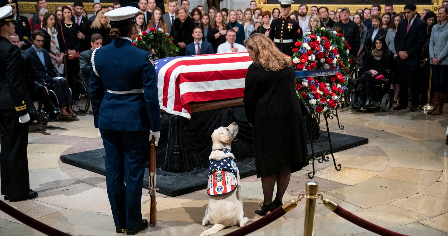 Sully The Service Dog Arrives To View Owner George H.W. Bush's Casket ...