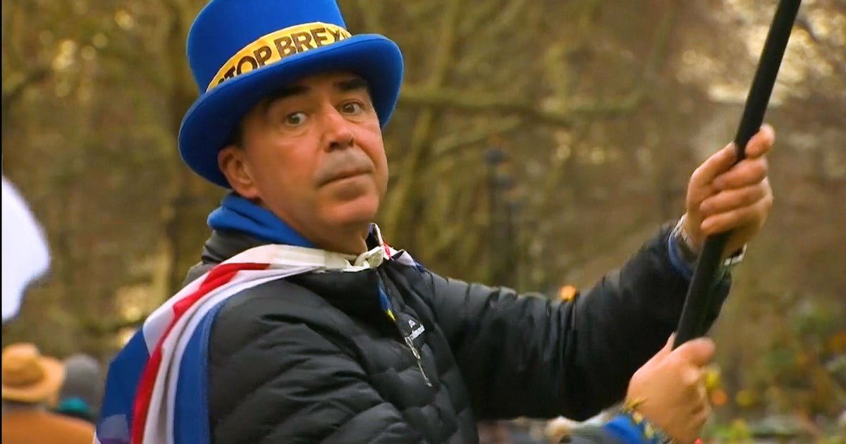 Steve Bray: The Ultimate Brexit Protester | HuffPost UK Politics