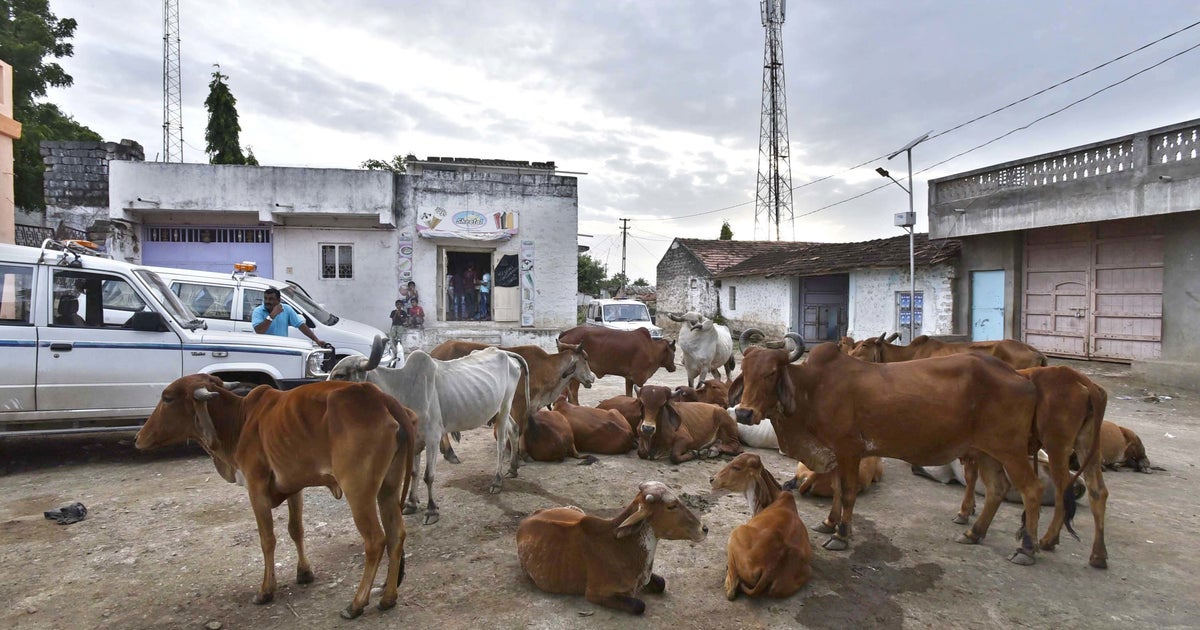 The Most Powerful Weapon Of The Gujarat Dalit Revolt | HuffPost News The Most Powerful Weapon Of The Gujarat Dalit Revolt | HuffPost News