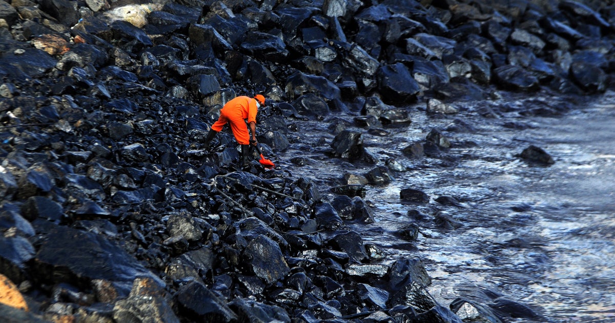 Oil Spill In Ennore Has Now Covered Chennai's Marina Beach, Experts ...
