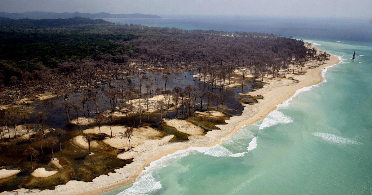 American Tourist Believed To Be Killed By Sentinelese Tribe In Andaman ...