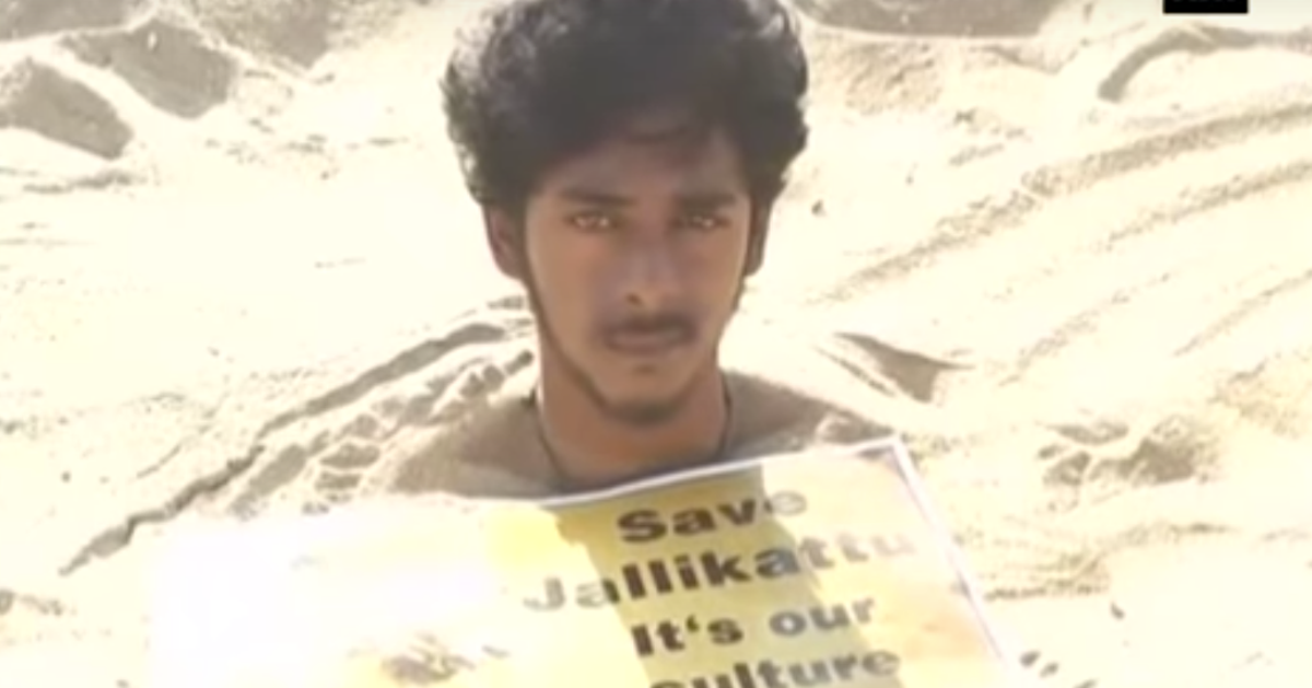 Buried Neck Deep In Sand, Chennai Protestor Among Thousands Camping At ...