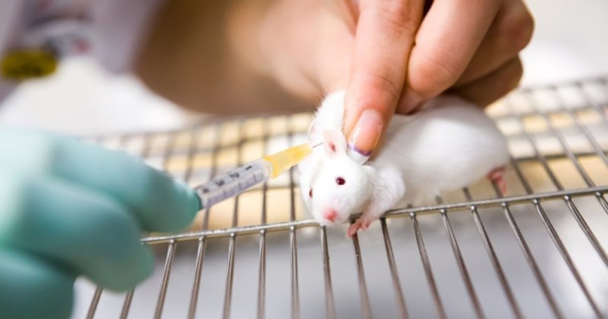 Spare Animals From Pesticide Testing: Scrap The #DirtyDozen | HuffPost Tech