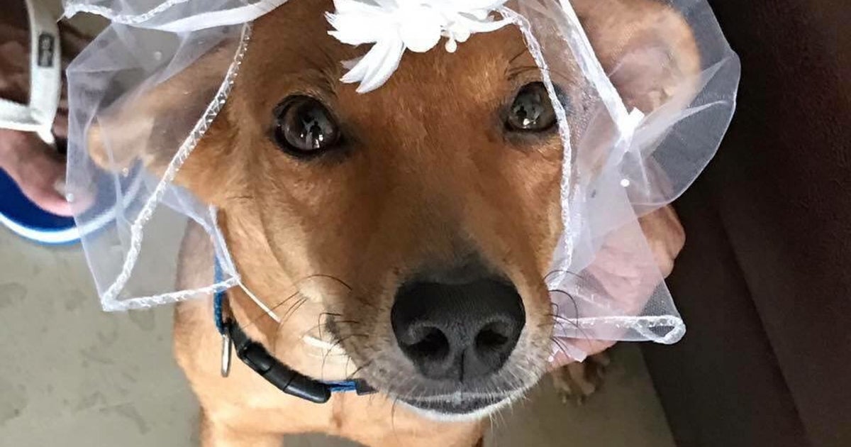 A Year After She Was Flung Off A Building In Chennai, Bhadra Is A Happy ...