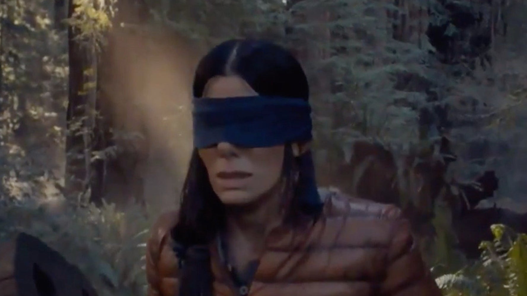 Kim Kardashian Is Extremely Late To The 'Bird Box' Party | HuffPost ...