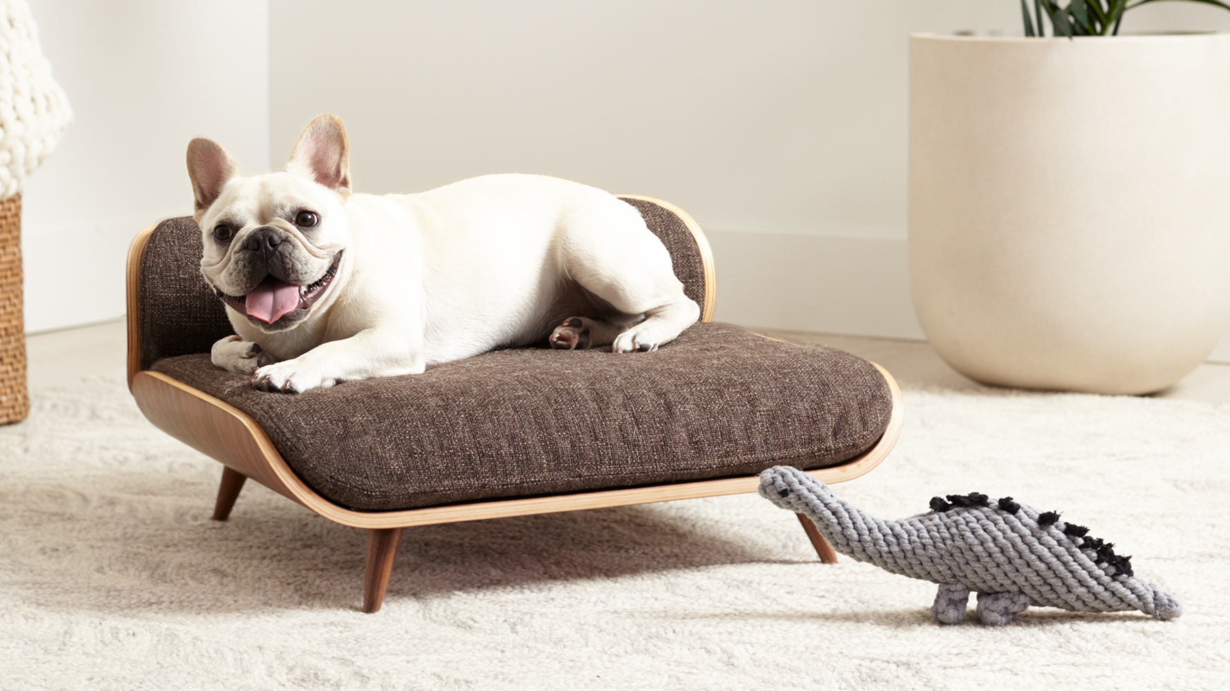 10 Items For Pets That Are As Cute As All Of Your Other Furniture ...