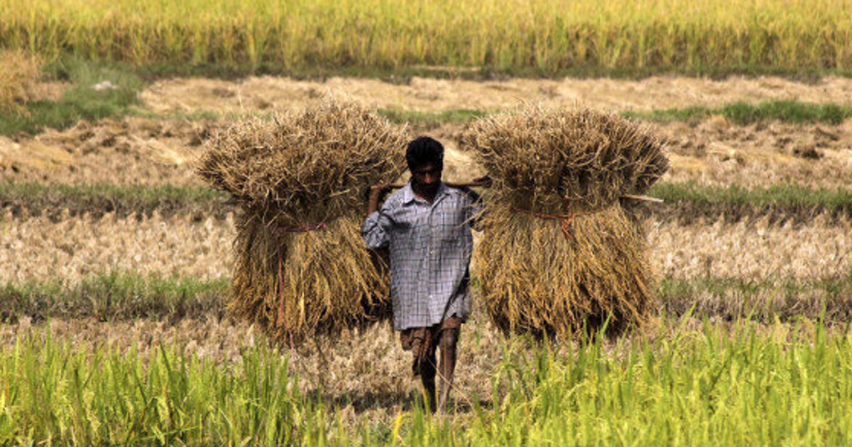 How Village Restaurants Could Change The Lives Of The Rural Poor ...