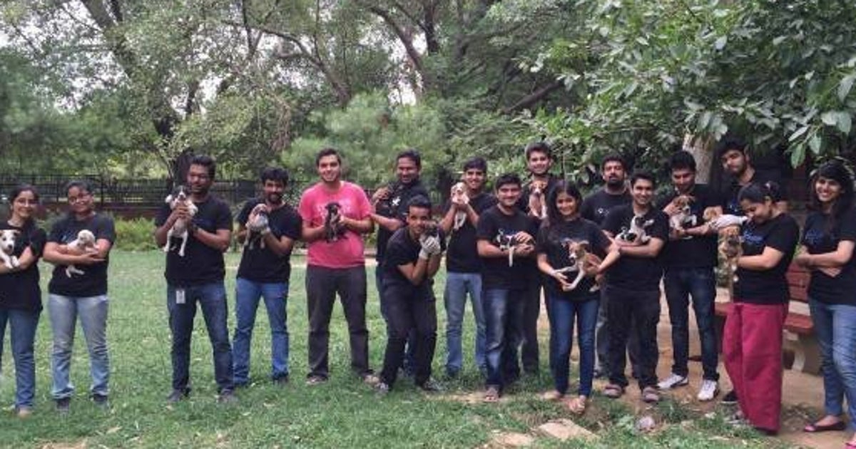 Animal Saviour Friendicoes Is Alive But On Life Support | HuffPost News