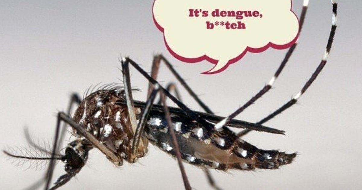 A Vexing Issue, Finally Answered: How To Pronounce Dengue | HuffPost News
