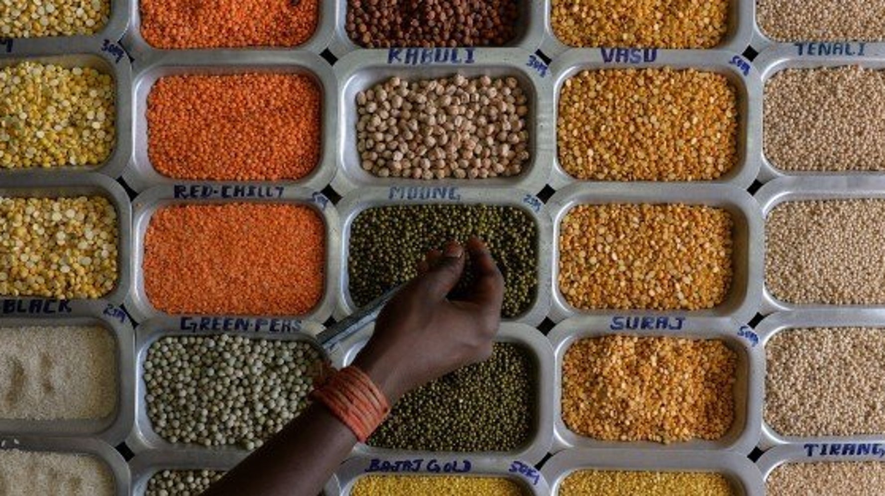 Images Of Cash Crops In India Ruby International Traders | India