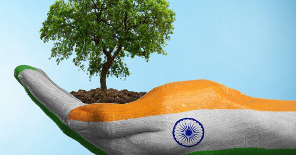 Instruments Of Change: Raising Investments For India's Climate ...