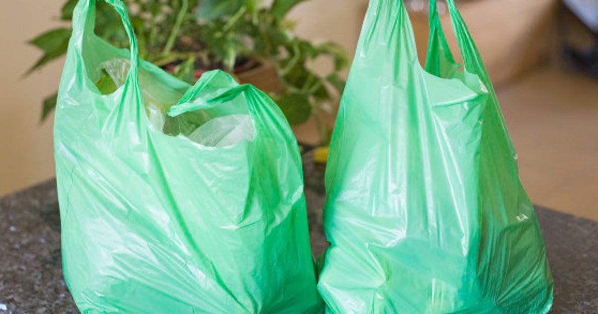 You Will Have To Pay A Hefty Fine If You Carry Plastic Shopping Bags In ...