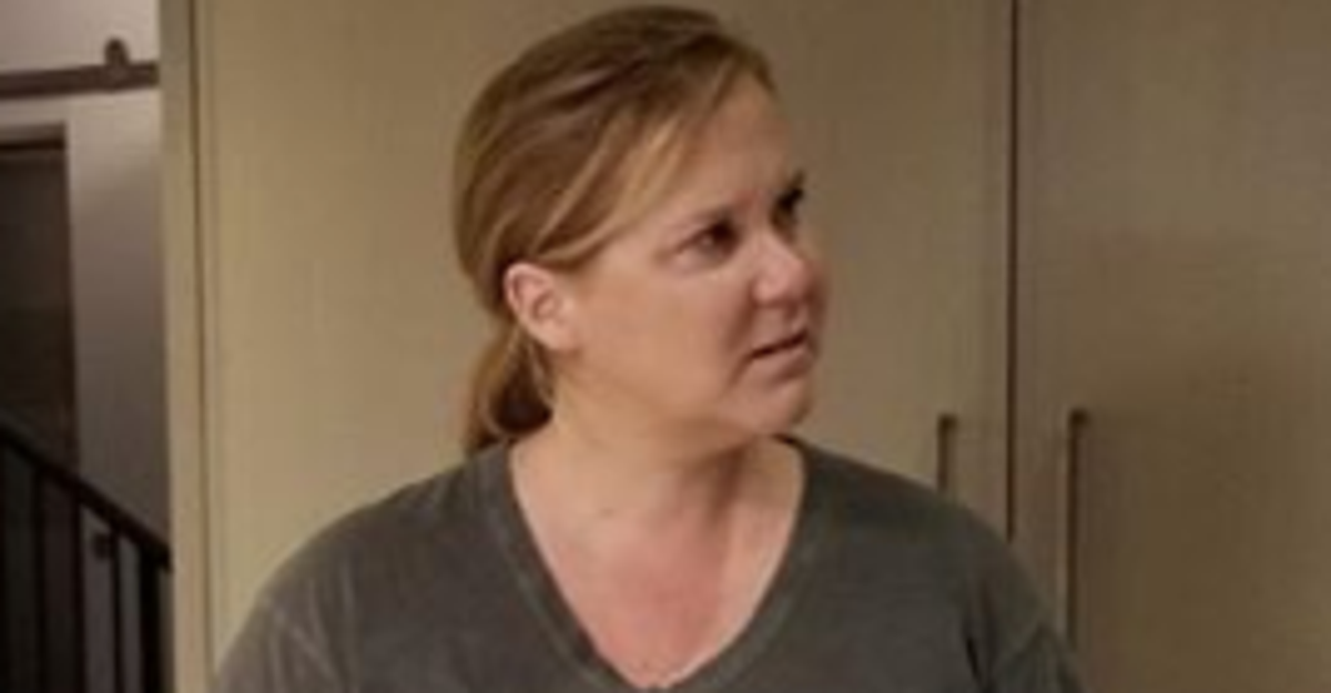 Amy Schumer's 'Horrifying' Baby Shower Cake Even Has A Butthole ...