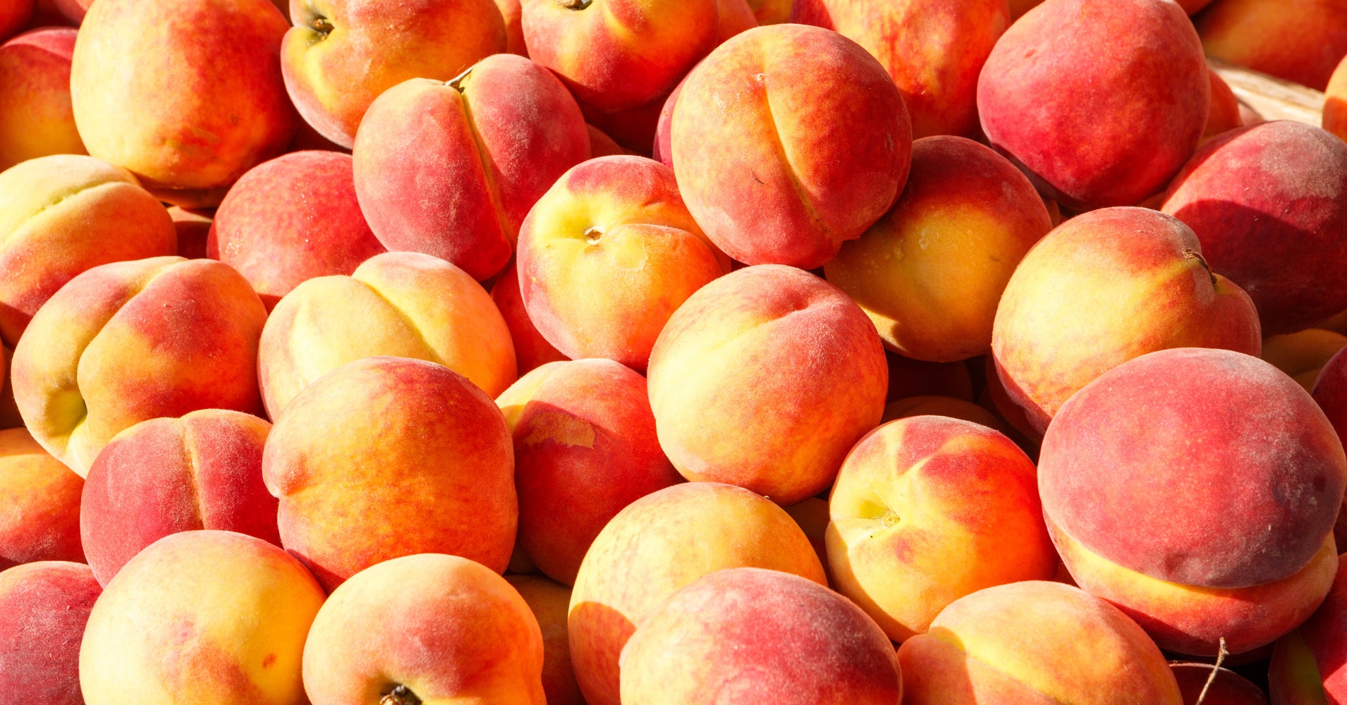 Fresh Fruit In 18 States Recalled Over Possible Listeria Risk HuffPost fresh-fruit-in-18-states-recalled-over-possible-listeria-risk-huffpost