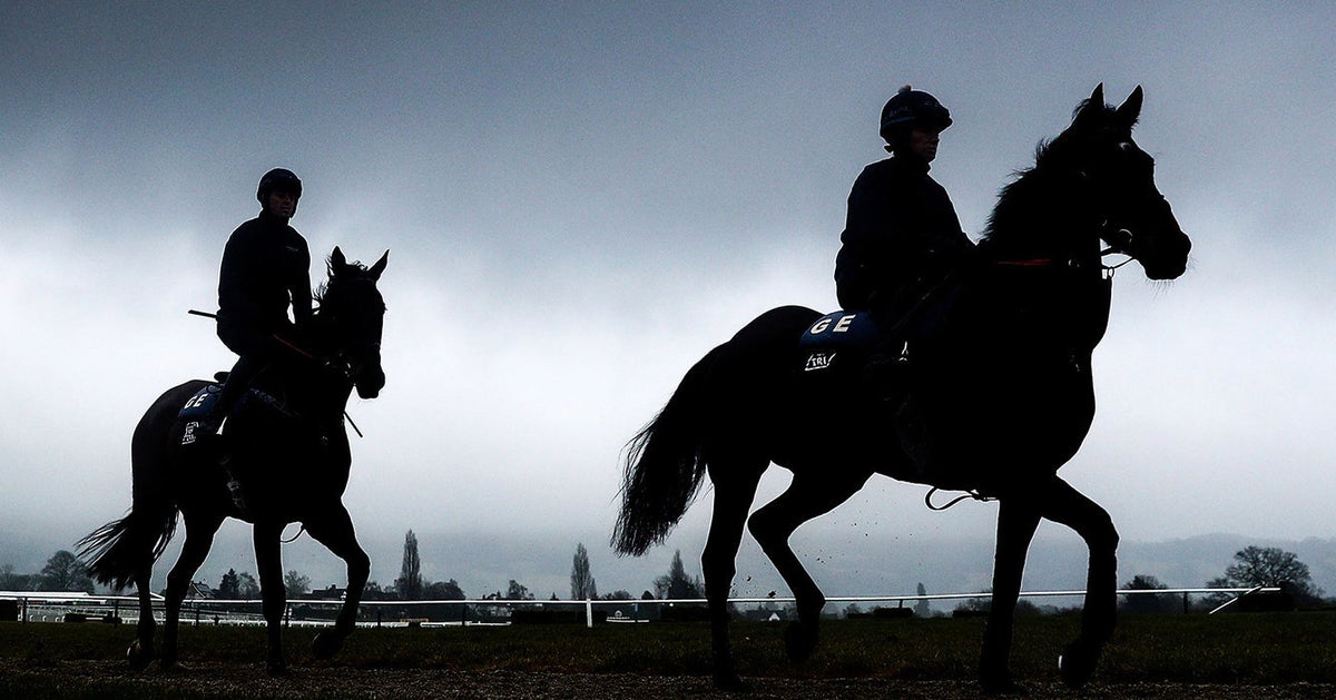 Anti-Horse Racing Campaigners Criticise ‘Contradictory’ Equine Flu Ban ...