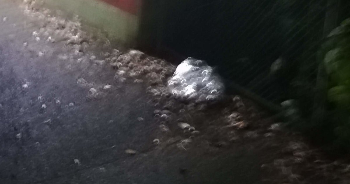 自分の声を歌い合うために / Writing without Teachers | ハフポスト NEWS