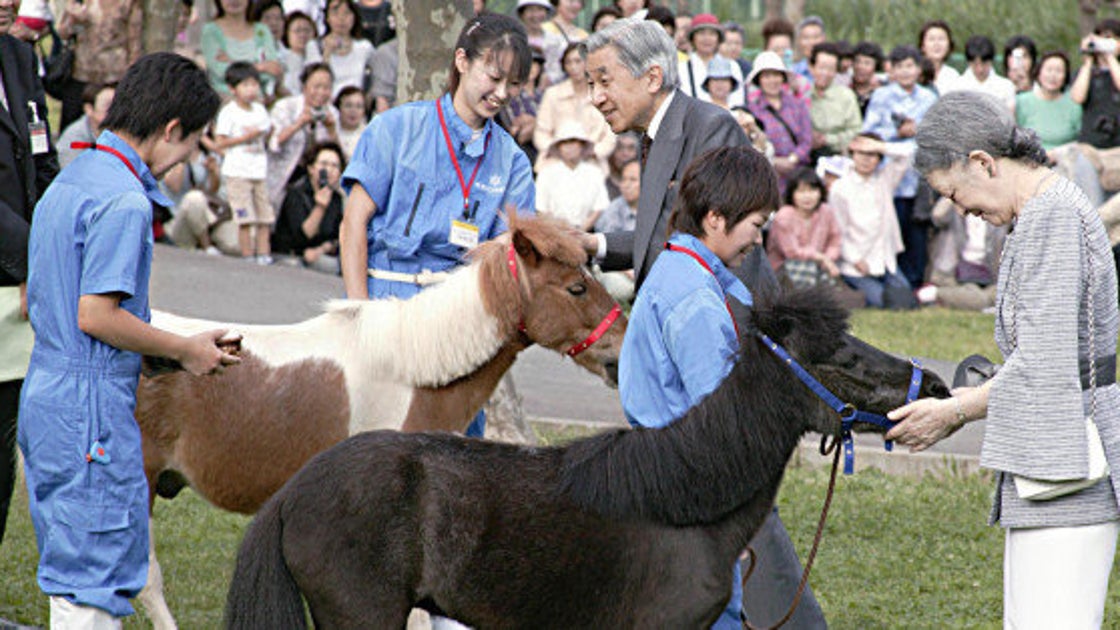 heika-poni