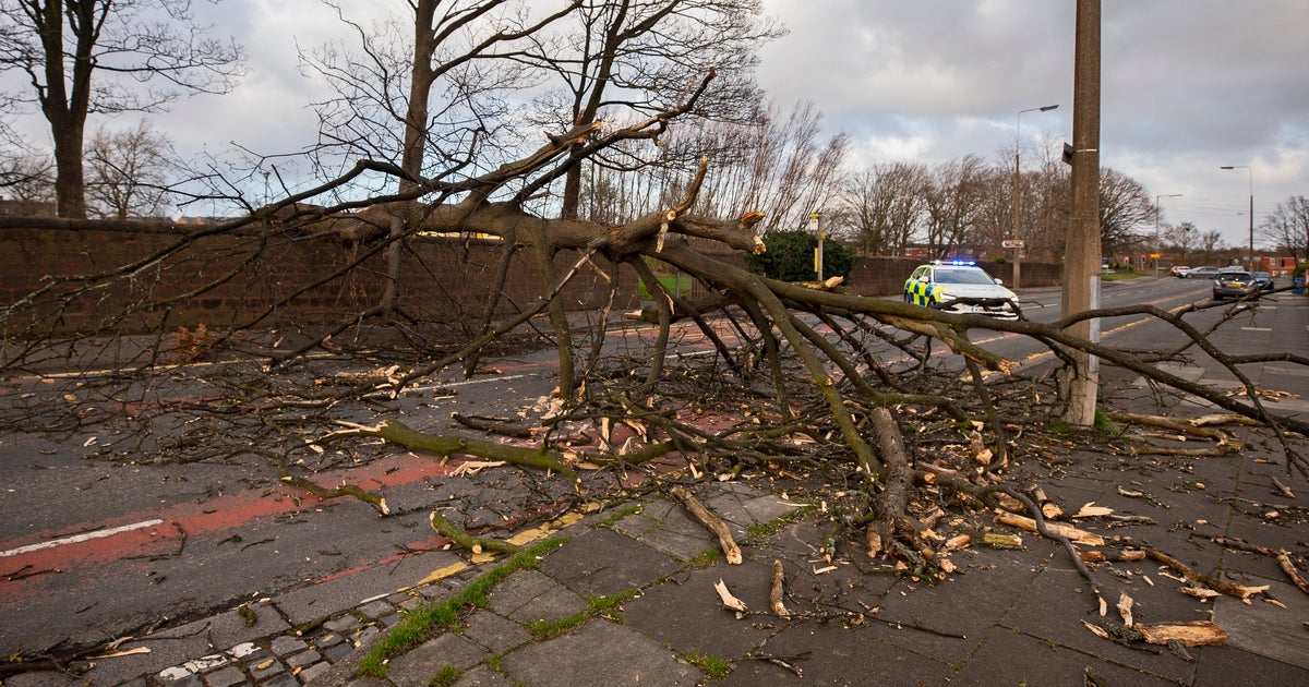 Storm Freya To Bring Strong Winds After February’s Record-Breaking ...
