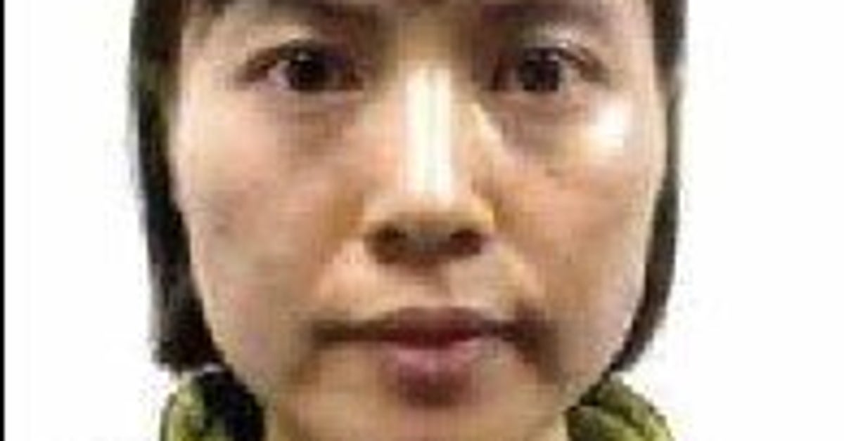 Pin Yun Lin: Police Appeal Launched For Woman Missing For two Weeks ...