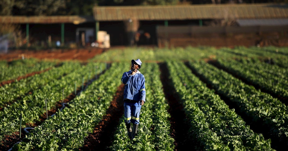 Expropriation Without Compensation: This Is The Legal Framework ...