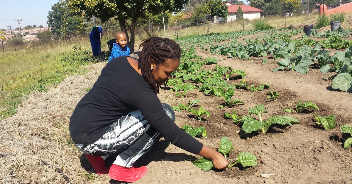 Access To Land Is Not Enough -- More Needs To Be Done | HuffPost UK News