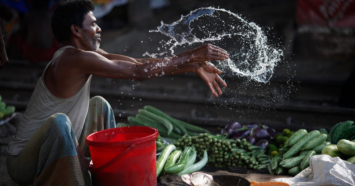 We Are Facing The Ecological Equivalent Of Junk Status | HuffPost UK News