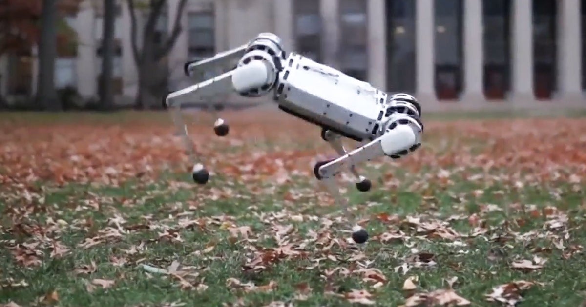 Meet The Backflipping Robot ‘Cheetah’ That Refuses To Play Dead ...