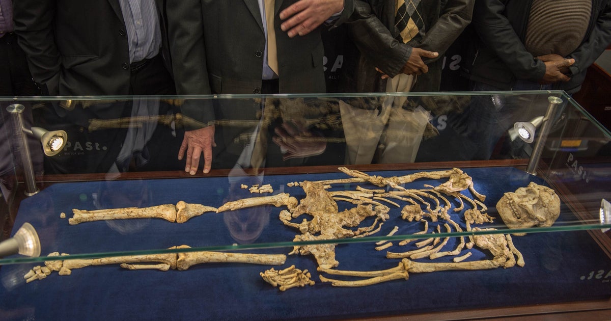 Oldest Complete Human Ancestor Unveiled In South Africa | HuffPost UK News