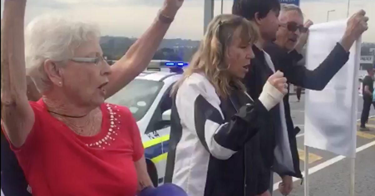 If You Haven't Seen The Zuma Must Go Challenge -- This Is All You Need ...