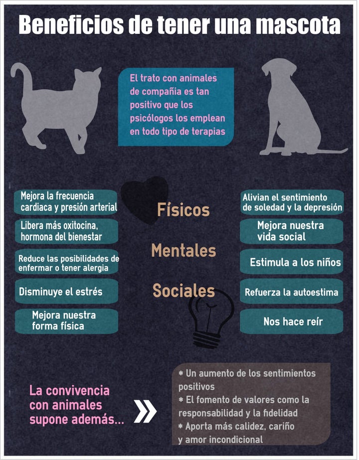 Por Qué Tener Una Mascota En Casa Es Bueno Para Ti El Huffpost Tendencias