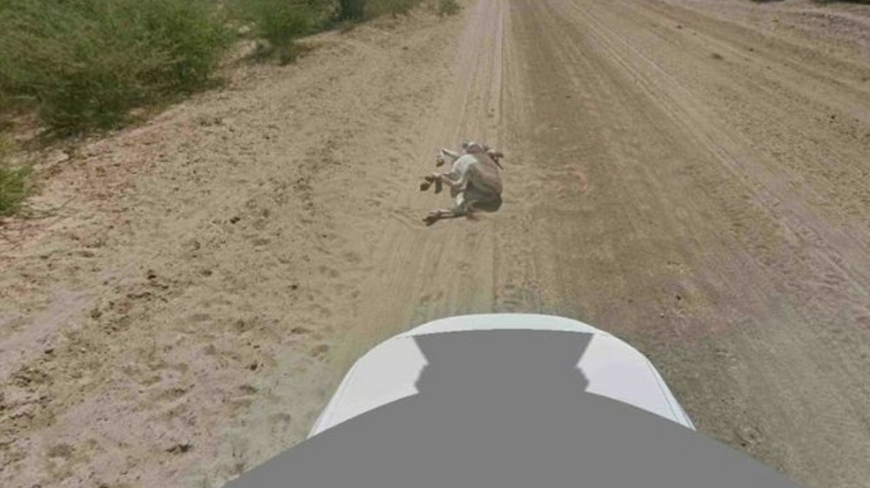 El bulo del burro muerto en Google Street View: la compañía aclara que ...