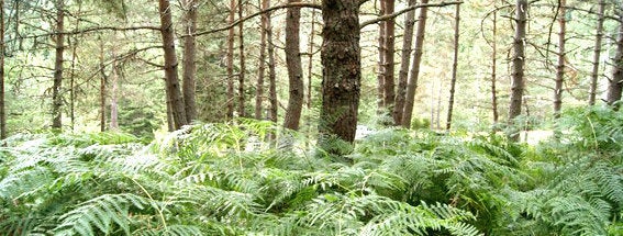 Ser sencillo es mejor que ser especial | El HuffPost Noticias