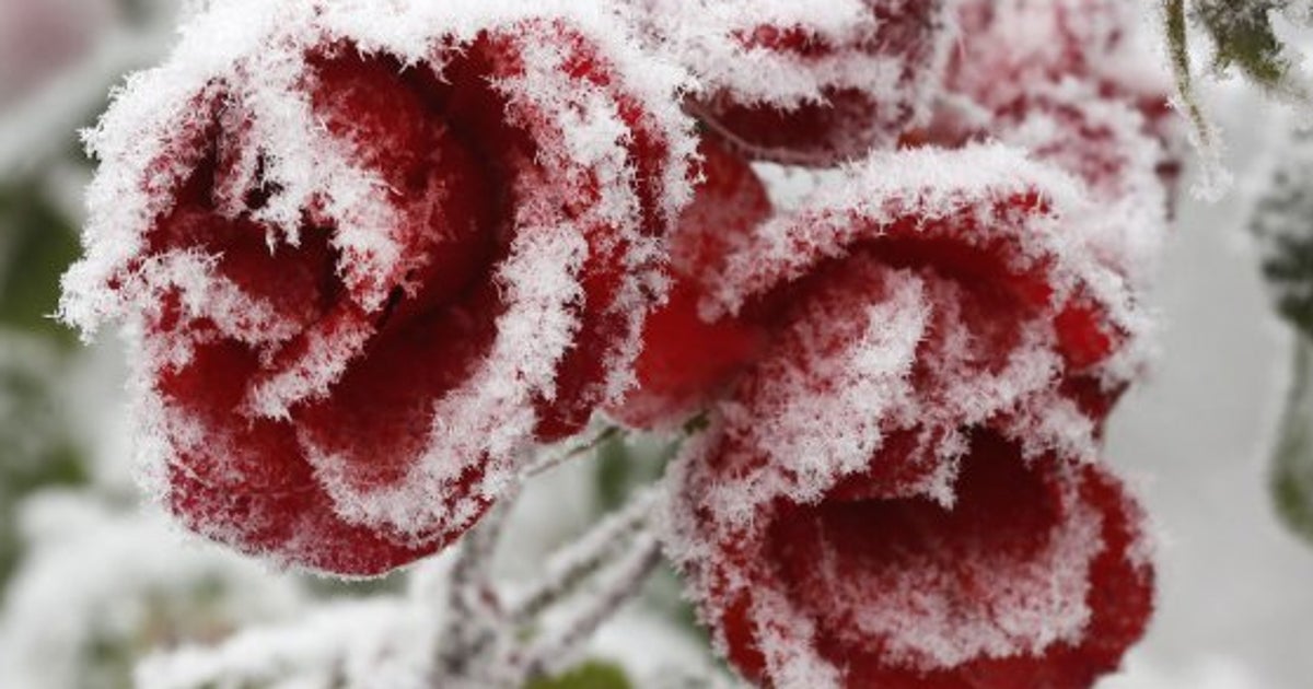 Cosas heladas bonitas: otra forma de mirar el invierno (FOTOS) | El ...