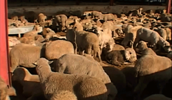 La peregrinación a La Meca, explicada en 8 GIFs | El HuffPost