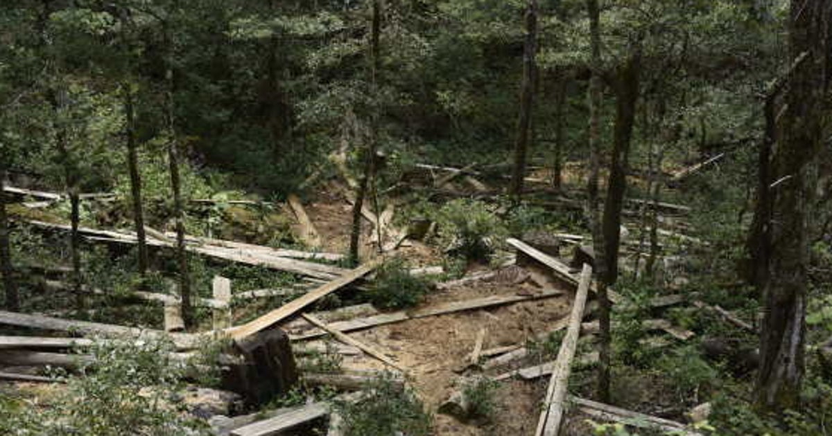 El bosque se tiñó de rojo sangre | El HuffPost