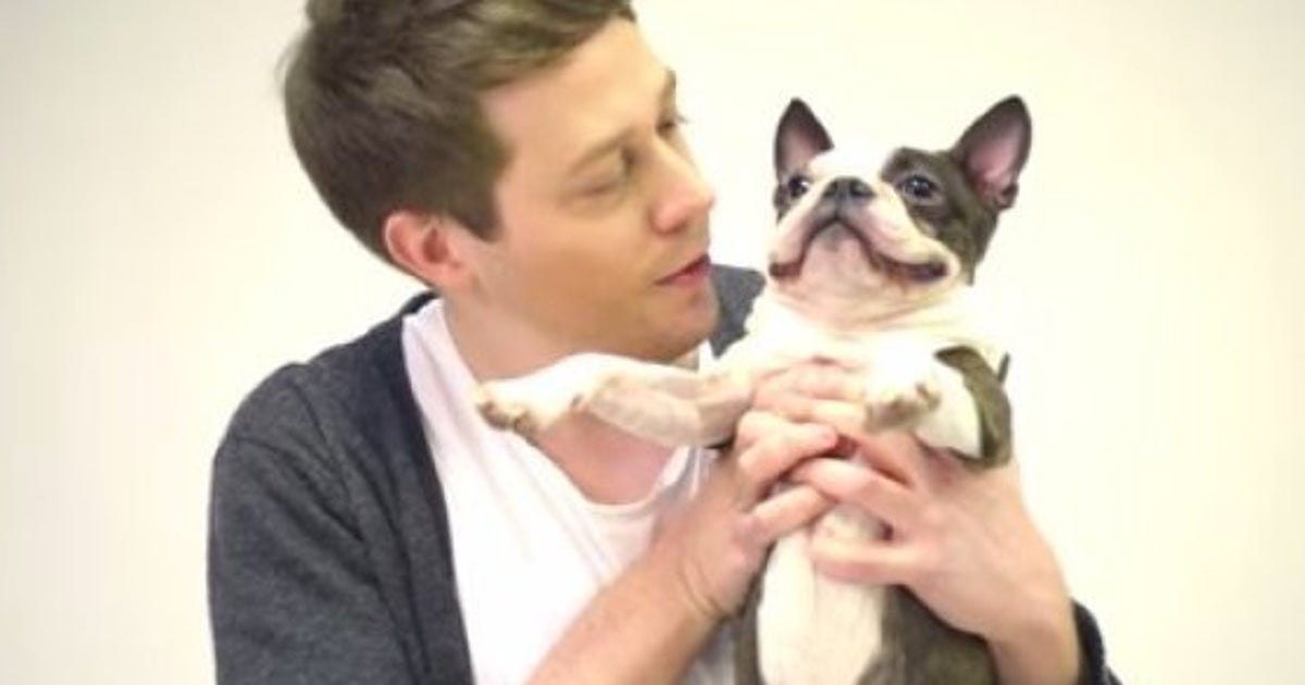 Los 14 mejores vídeos de perros de 2014 | El HuffPost Tendencias